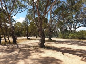 Narrandera Free Camp - NSW - Fulltime Caravanning